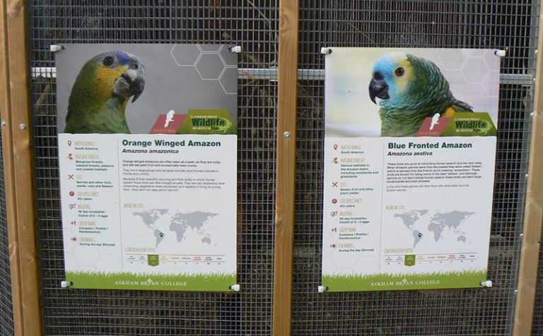 Interpretation – HBA Graphic Design